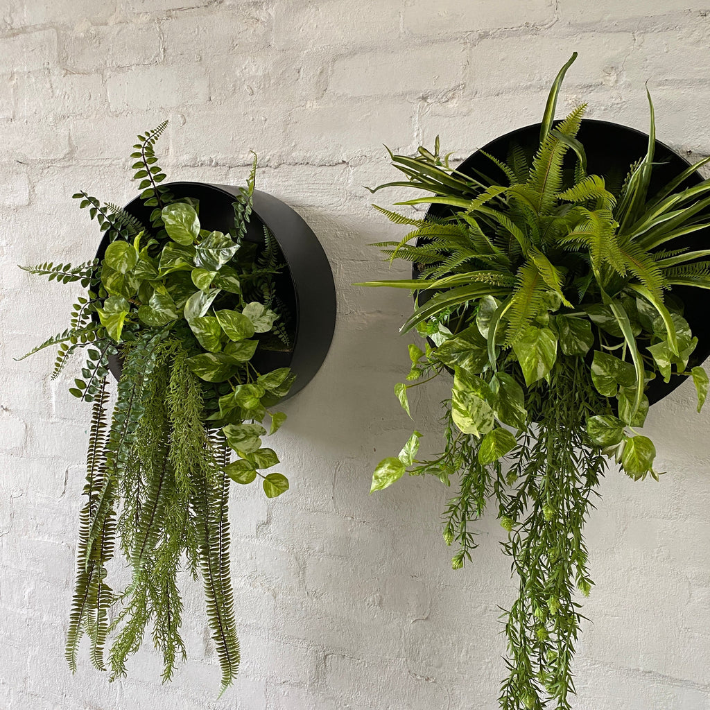 Using Wall Planters to Green Up Your Indoors