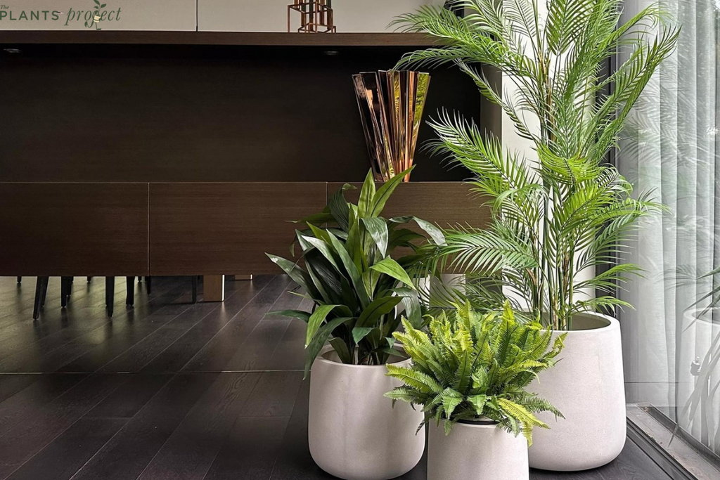 9 Creative Pot Plant Arrangement Ideas | The Plants Project