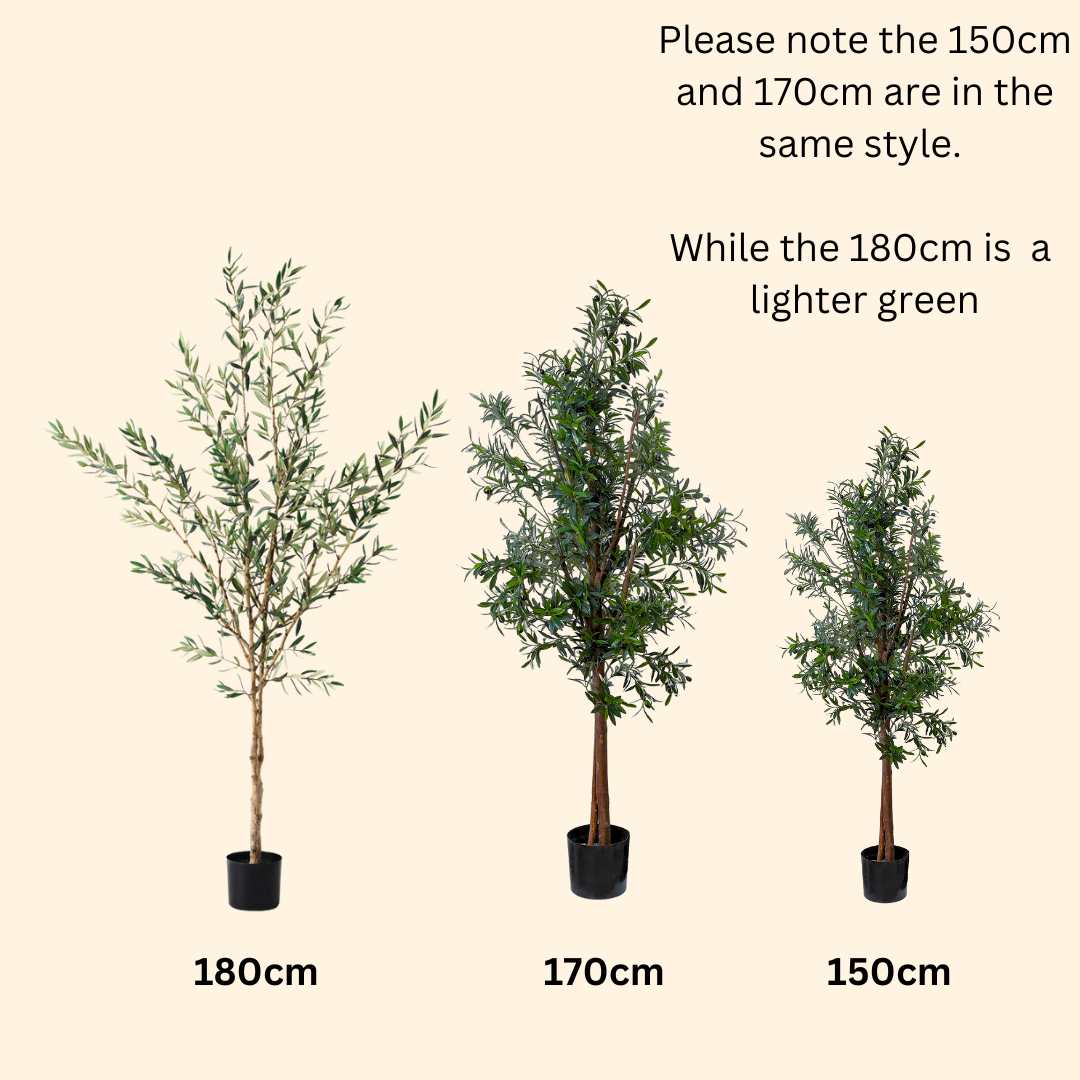 Incredibly Lifelike Artificial Olive Tree | The Plants Project