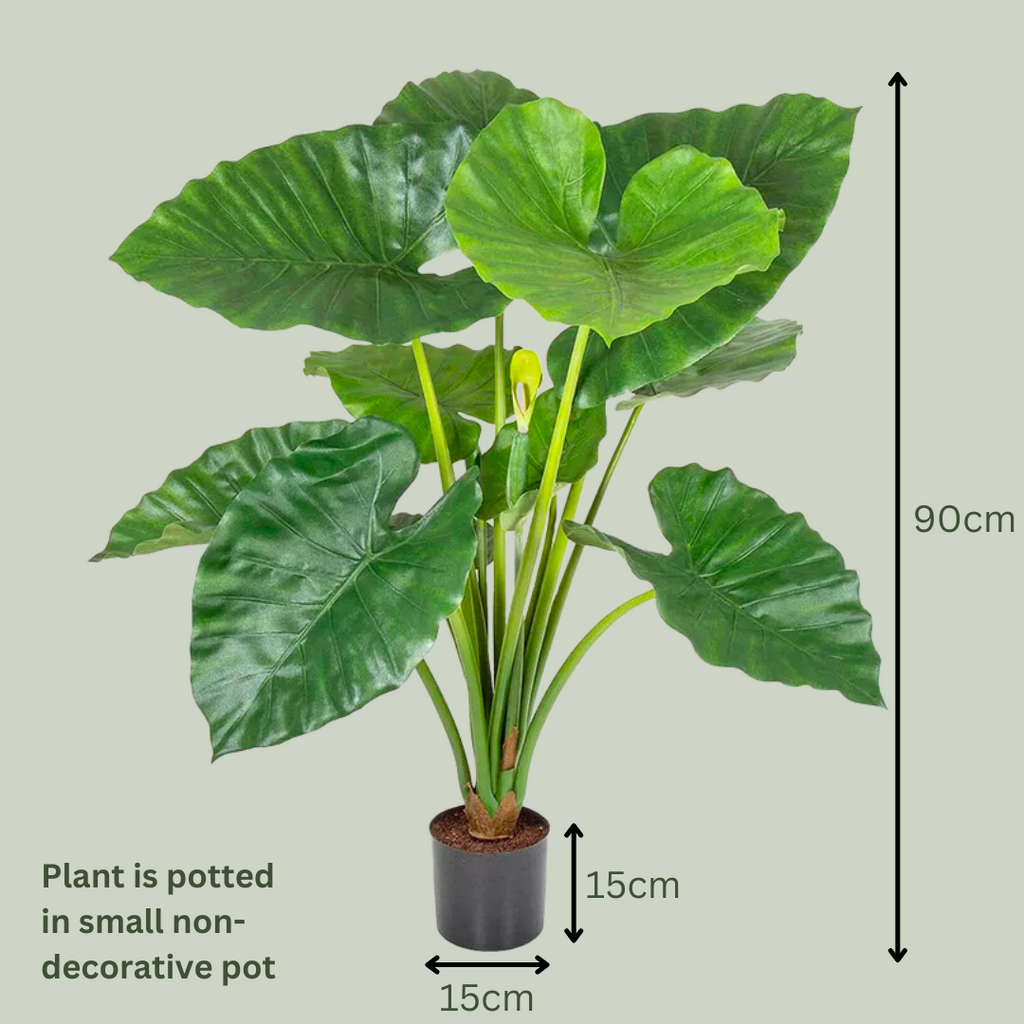 Artificial Elephant Ears – The Plants Project