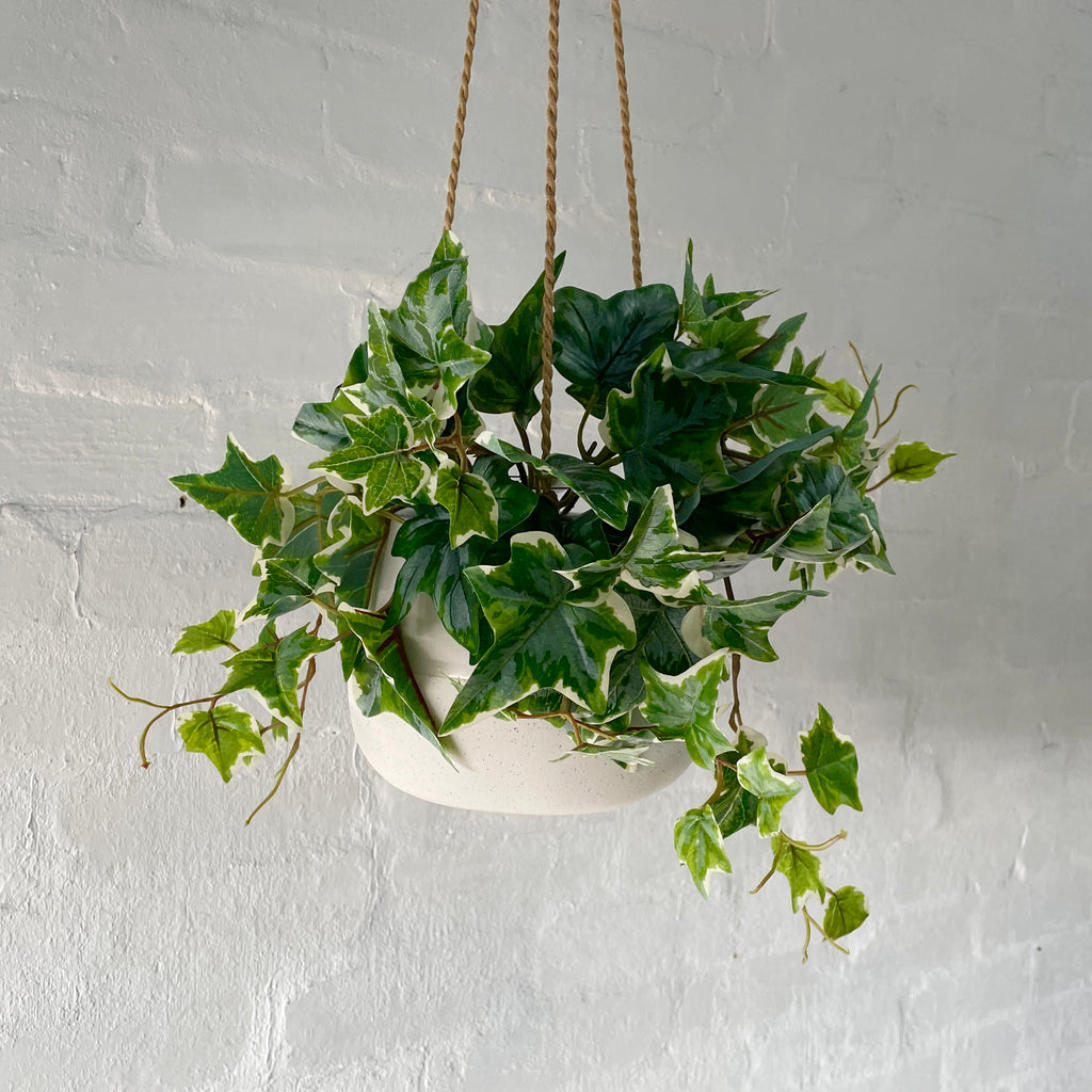 Artificial Hanging Variegated Geranium | Outdoor