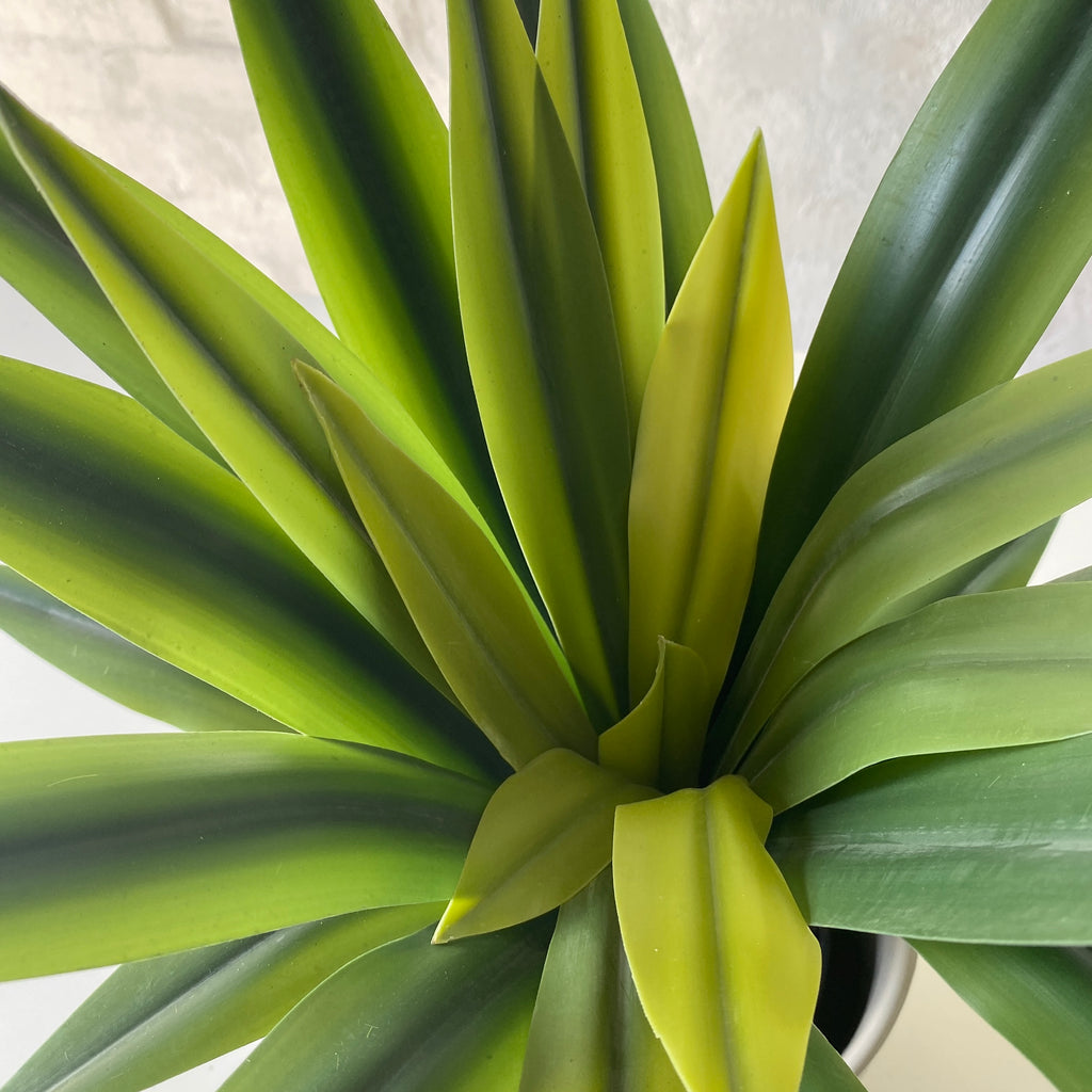 Artificial Mexican Yucca Plant