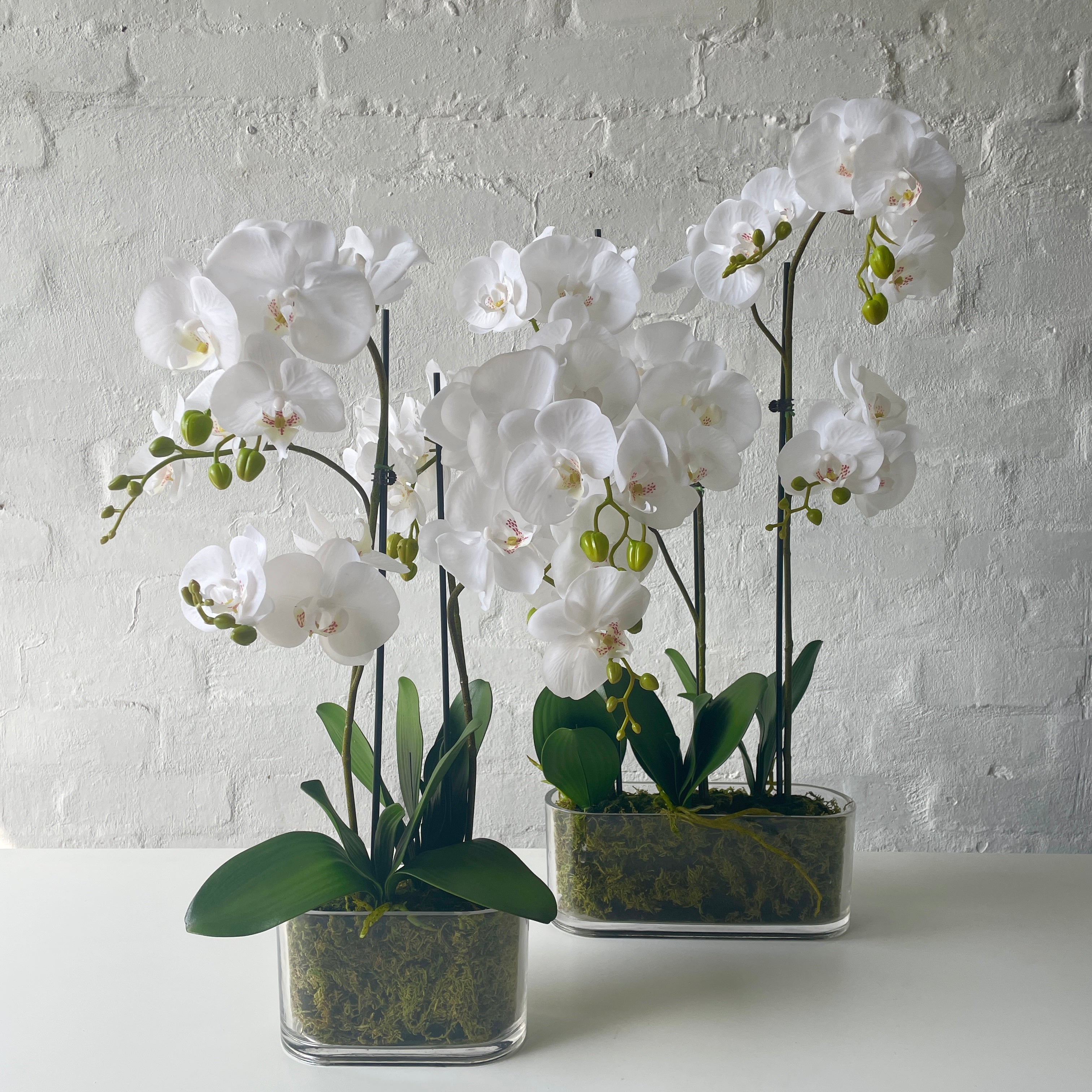 Artificial orchid plants store