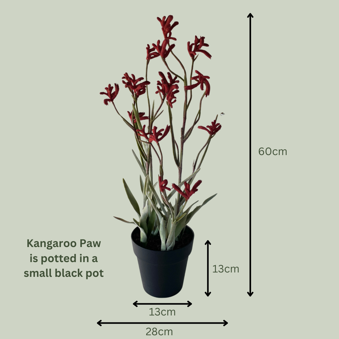 Potted Artificial Kangaroo Paw