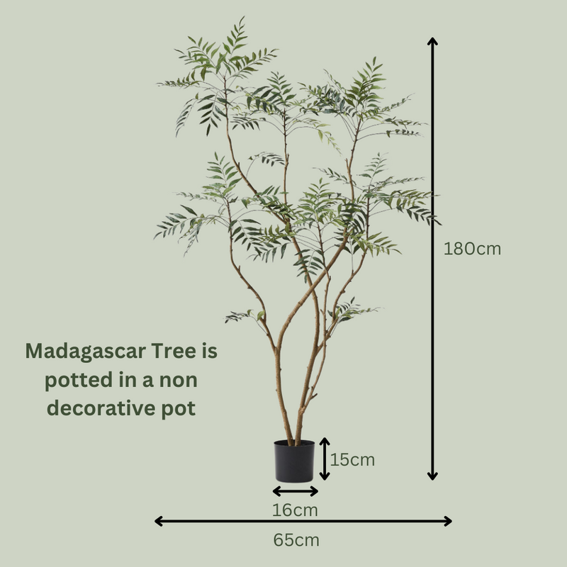 Artificial Madagascar Tree