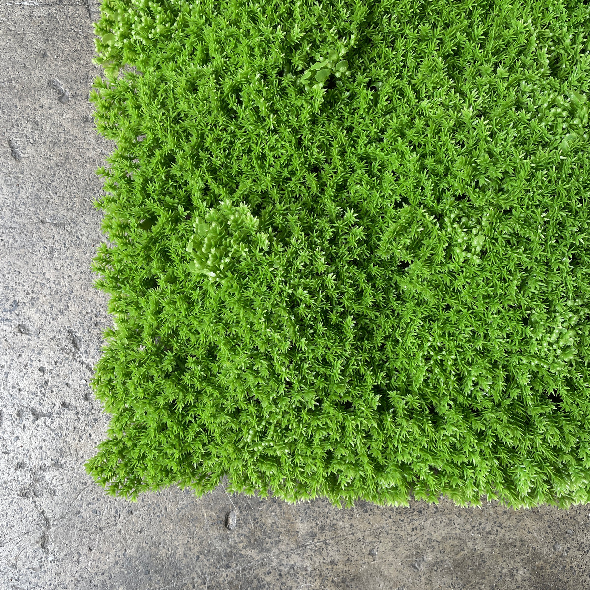 Artificial Moss Square Garden | Outdoor