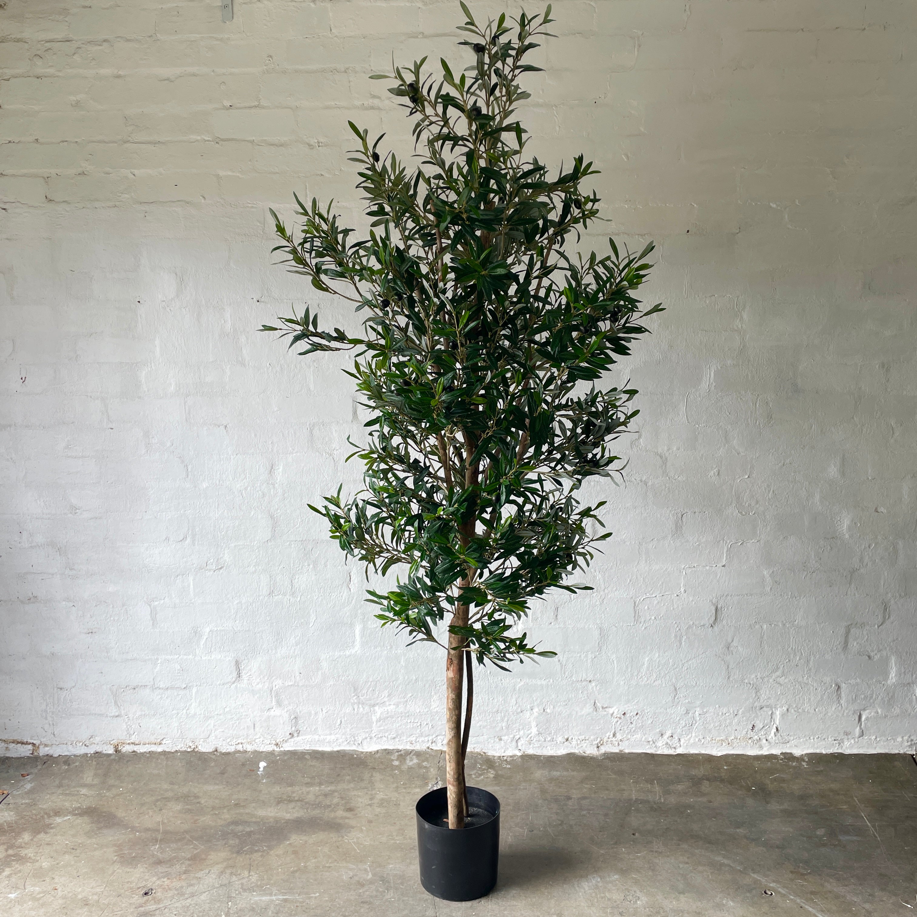 Incredibly Lifelike Artificial Olive Tree | The Plants Project