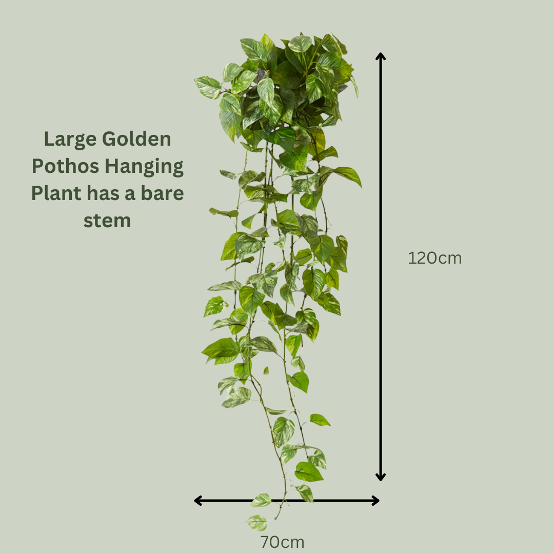 Artificial Hanging Golden Pothos Plant | Outdoor