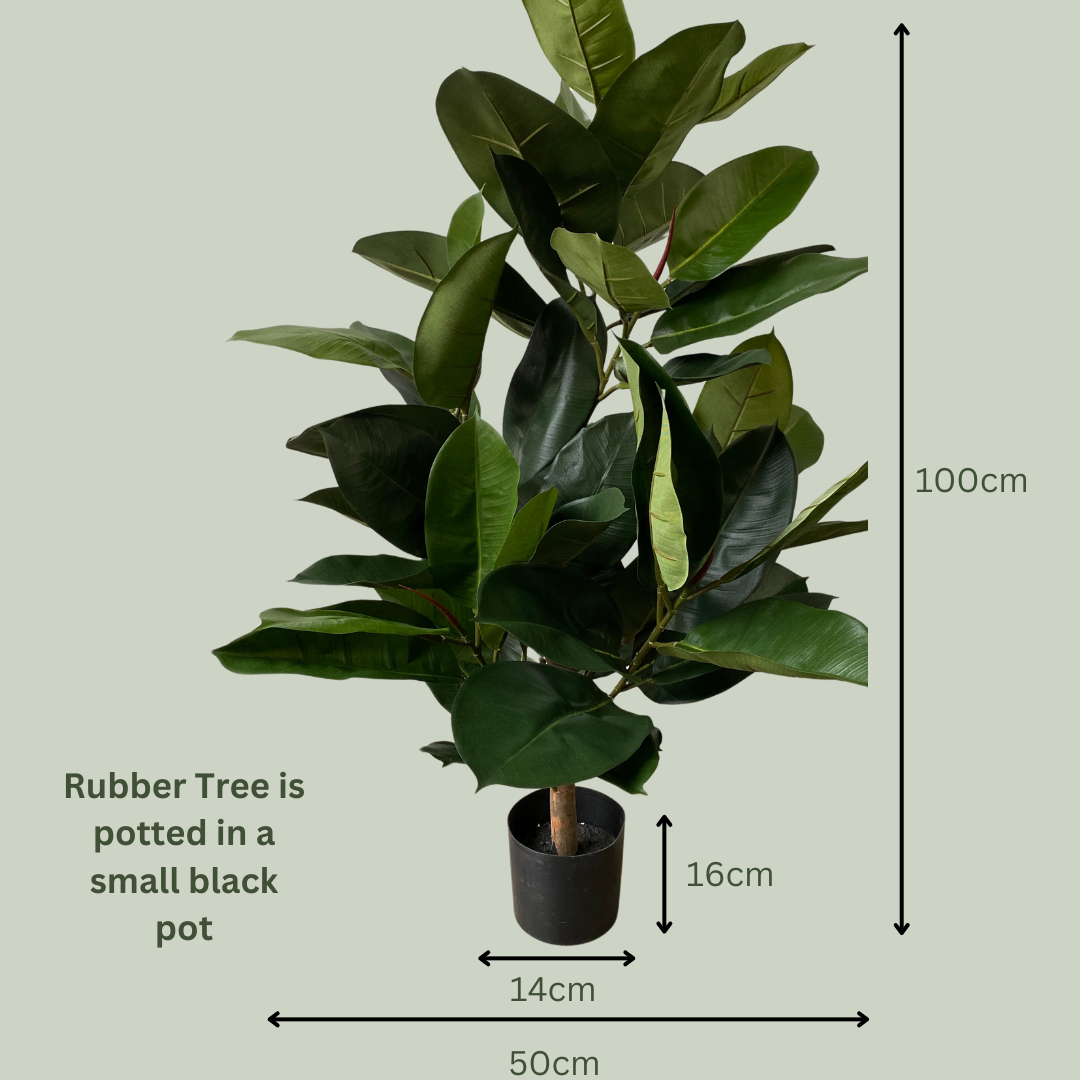 Artificial Short Rubber Tree