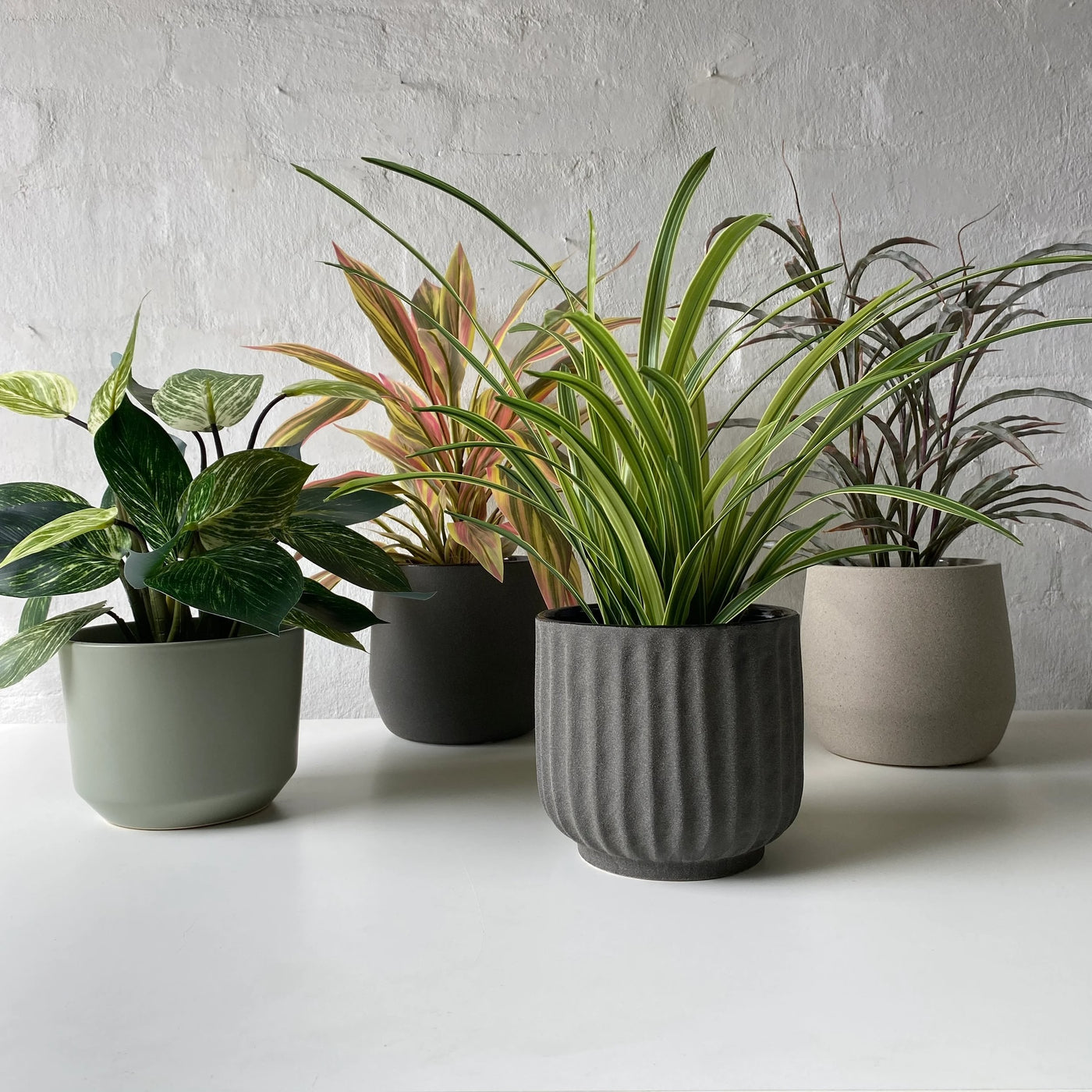 Ava Hanging Pot