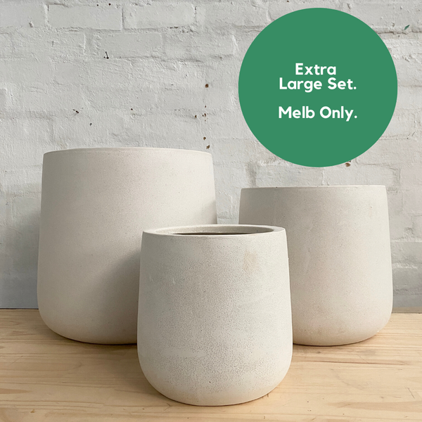 Lightweight Pots | Large Lightweight Pots Available – The Plants Project