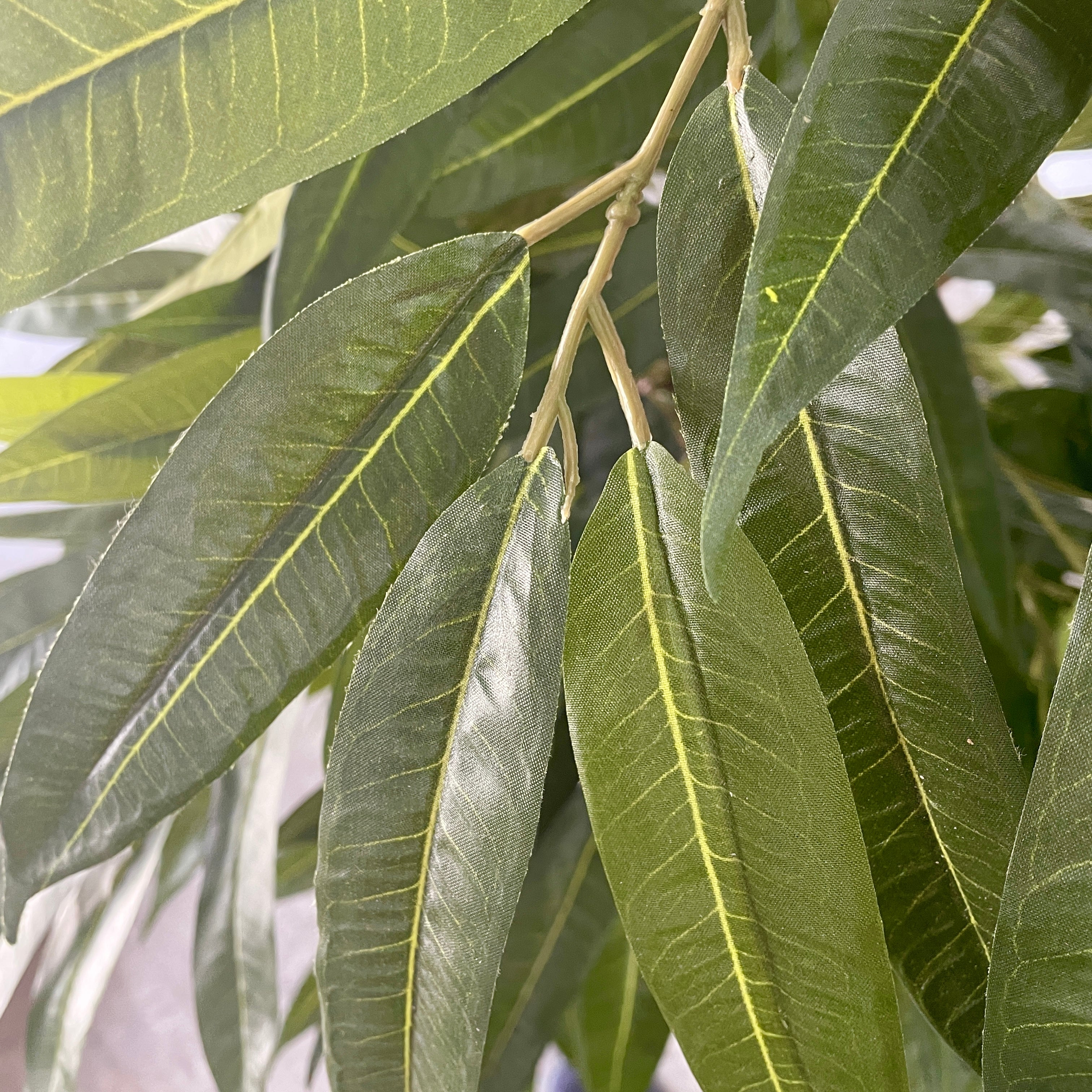 Artificial Ashoka Tree