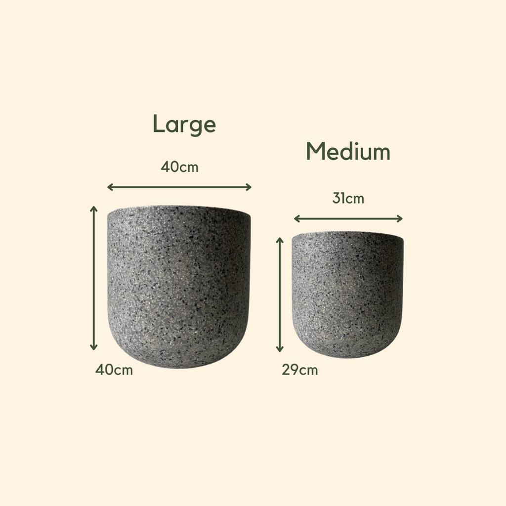 Lightweight Bruno Pot | Grey Terrazzo | Large – The Plants Project