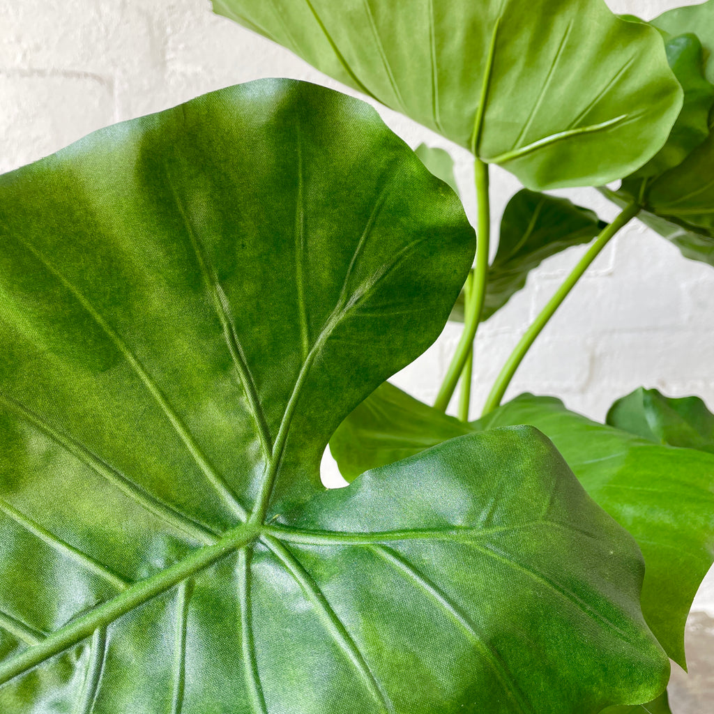 Artificial Elephant Ear Plant