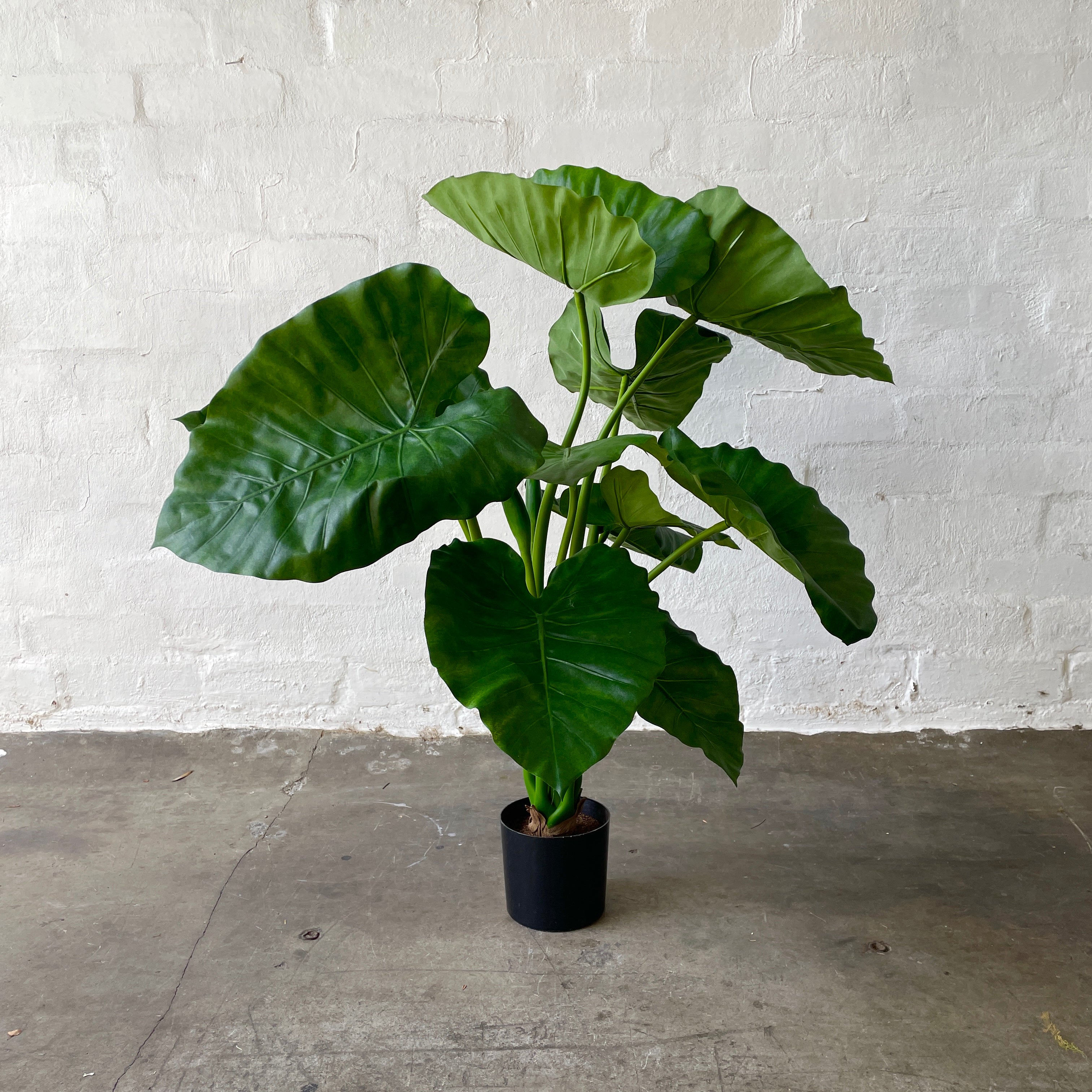 Artificial Elephant Ear Plant