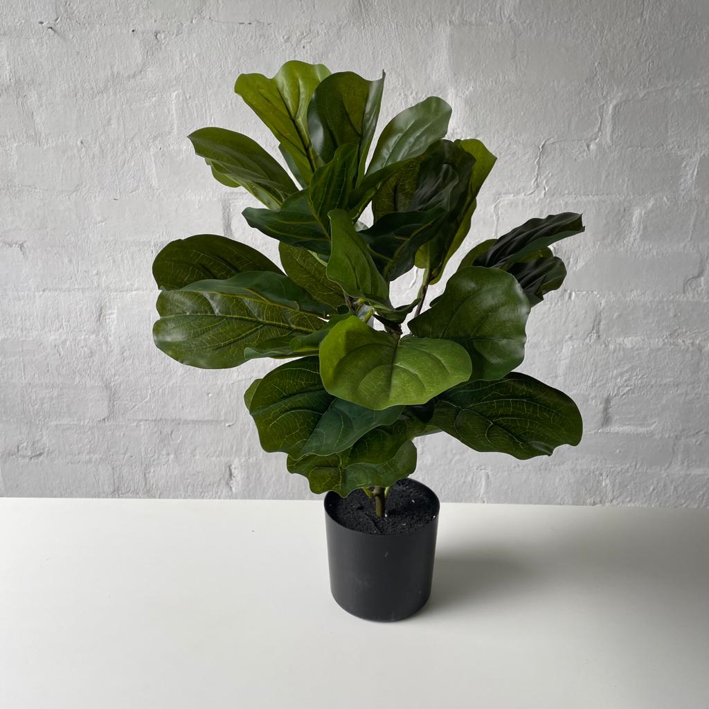 Artificial Fiddle Leaf | 50cm