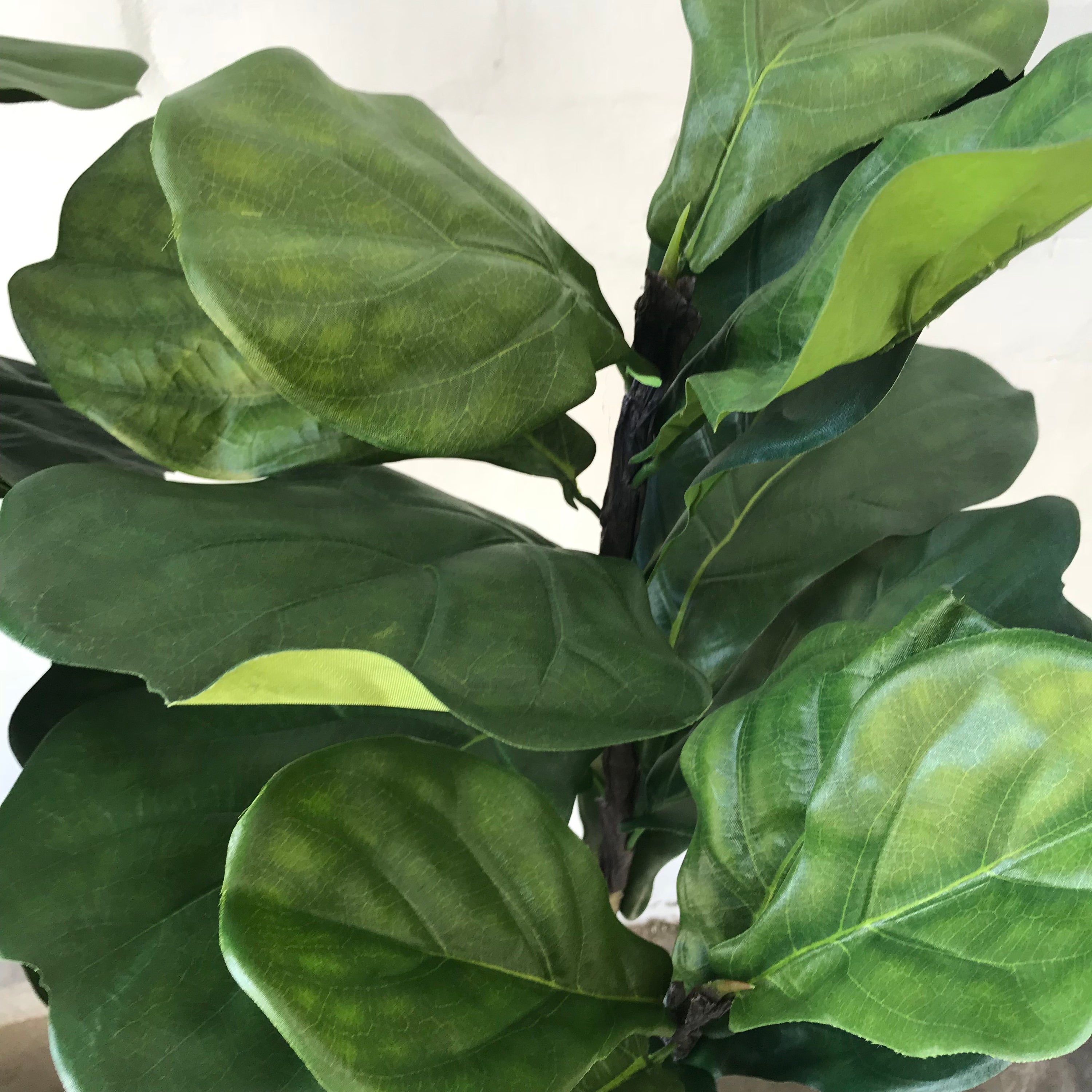 Artificial Trees - Indoor & Outdoor for Sale | Faux Trees