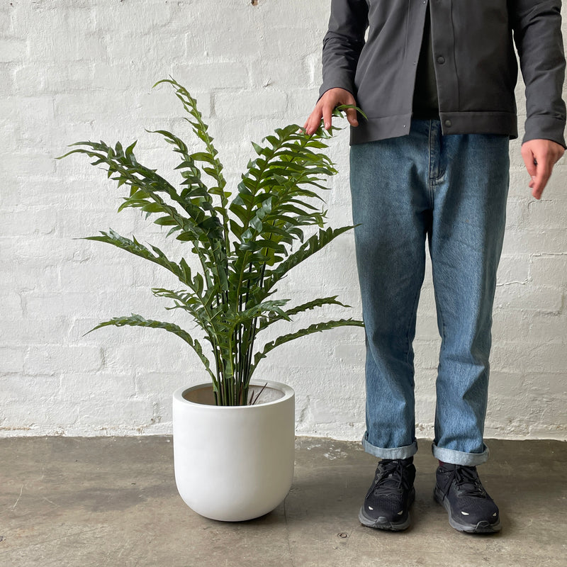 Artificial Hare's Foot Fern