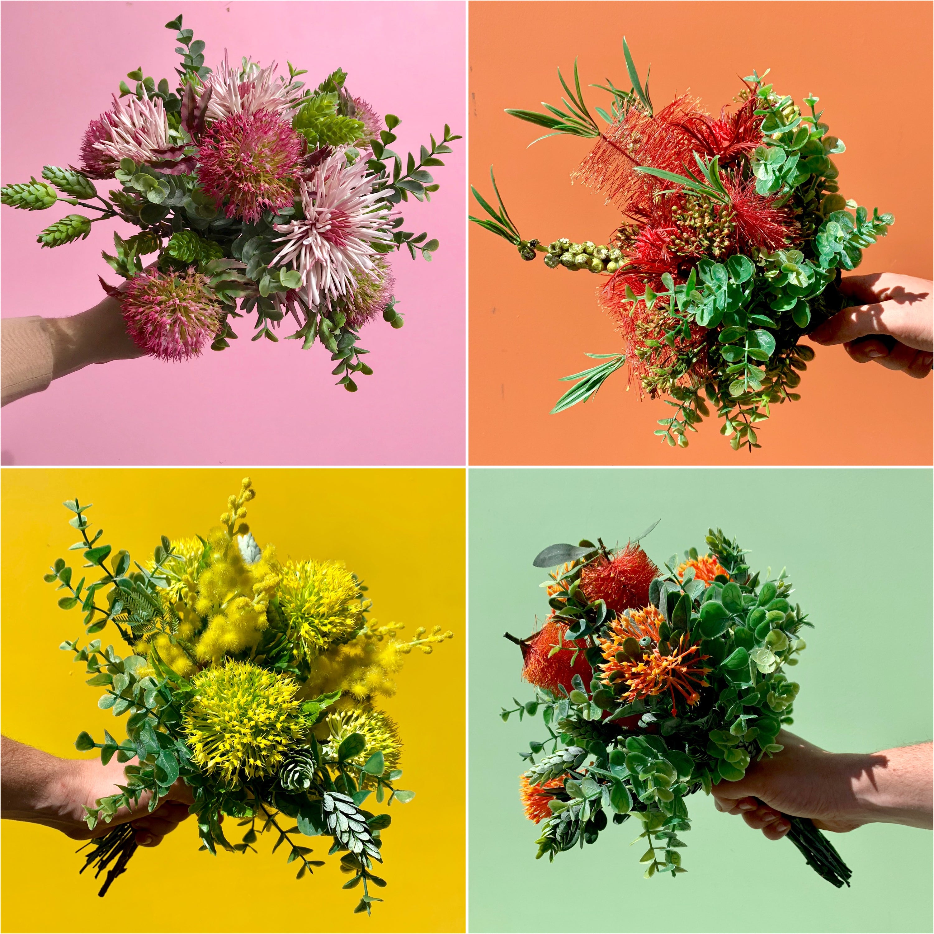 Australian Native Plants | Native Australian Indoor Plants