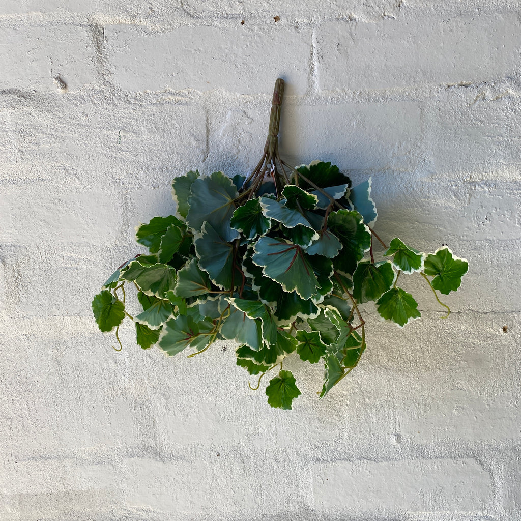 Artificial Hanging Variegated Geranium | Outdoor – The Plants Project