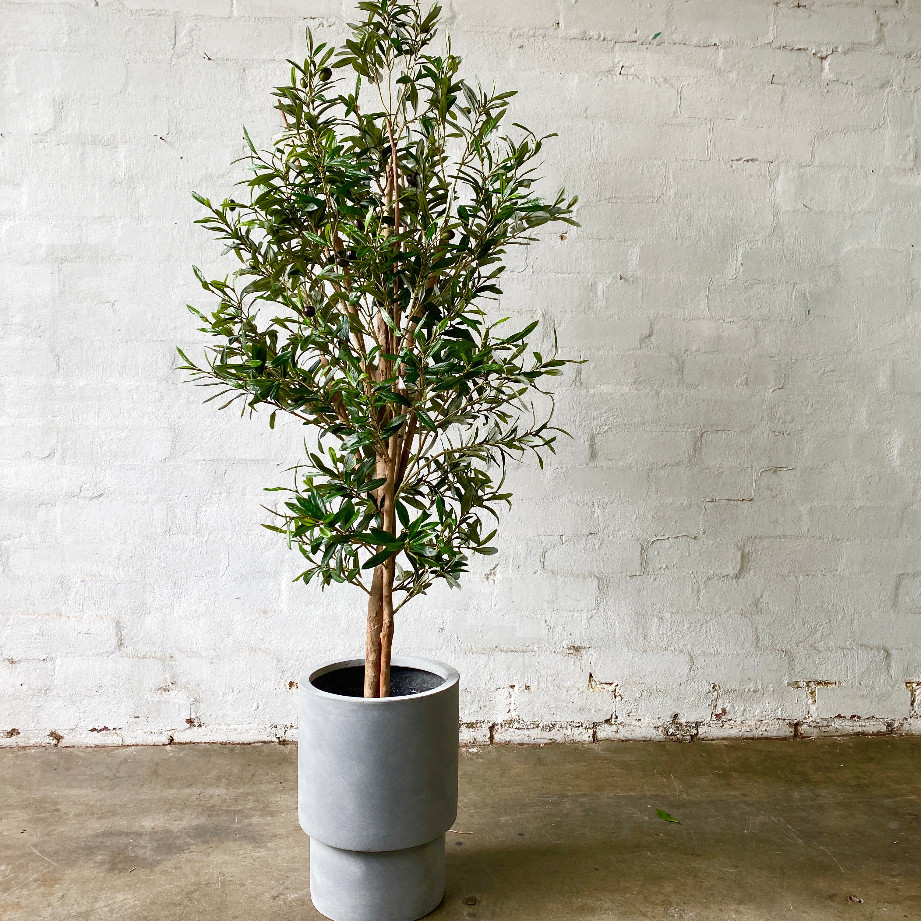 Incredibly Lifelike Artificial Olive Tree | The Plants Project