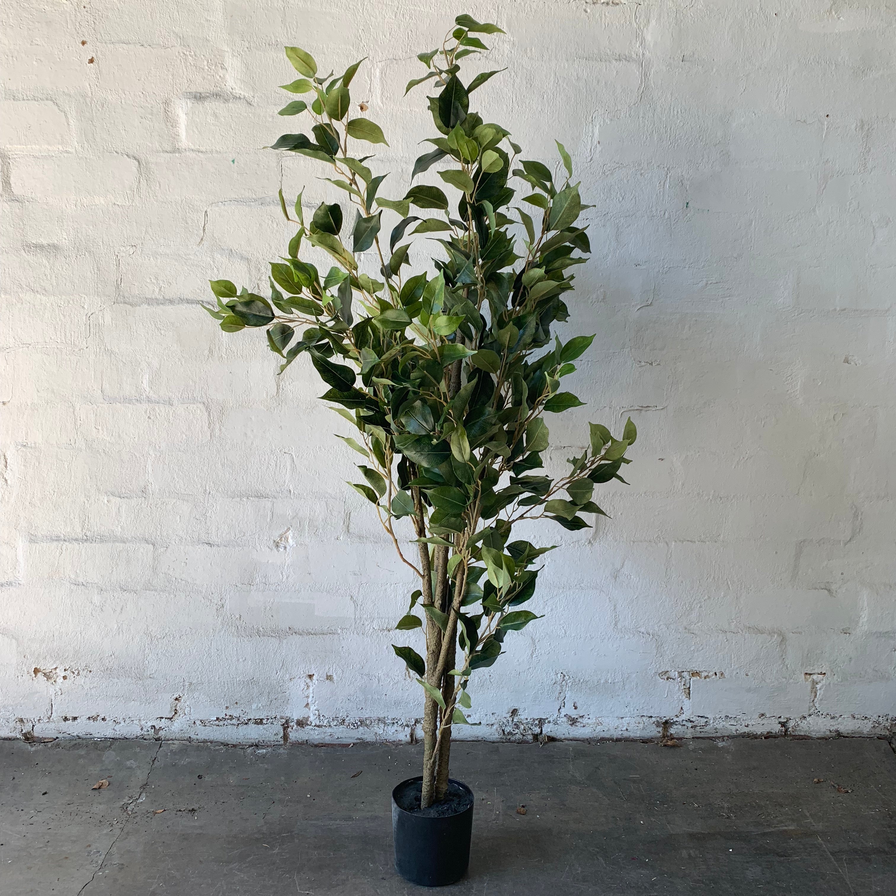 Artificial Small Ficus Tree