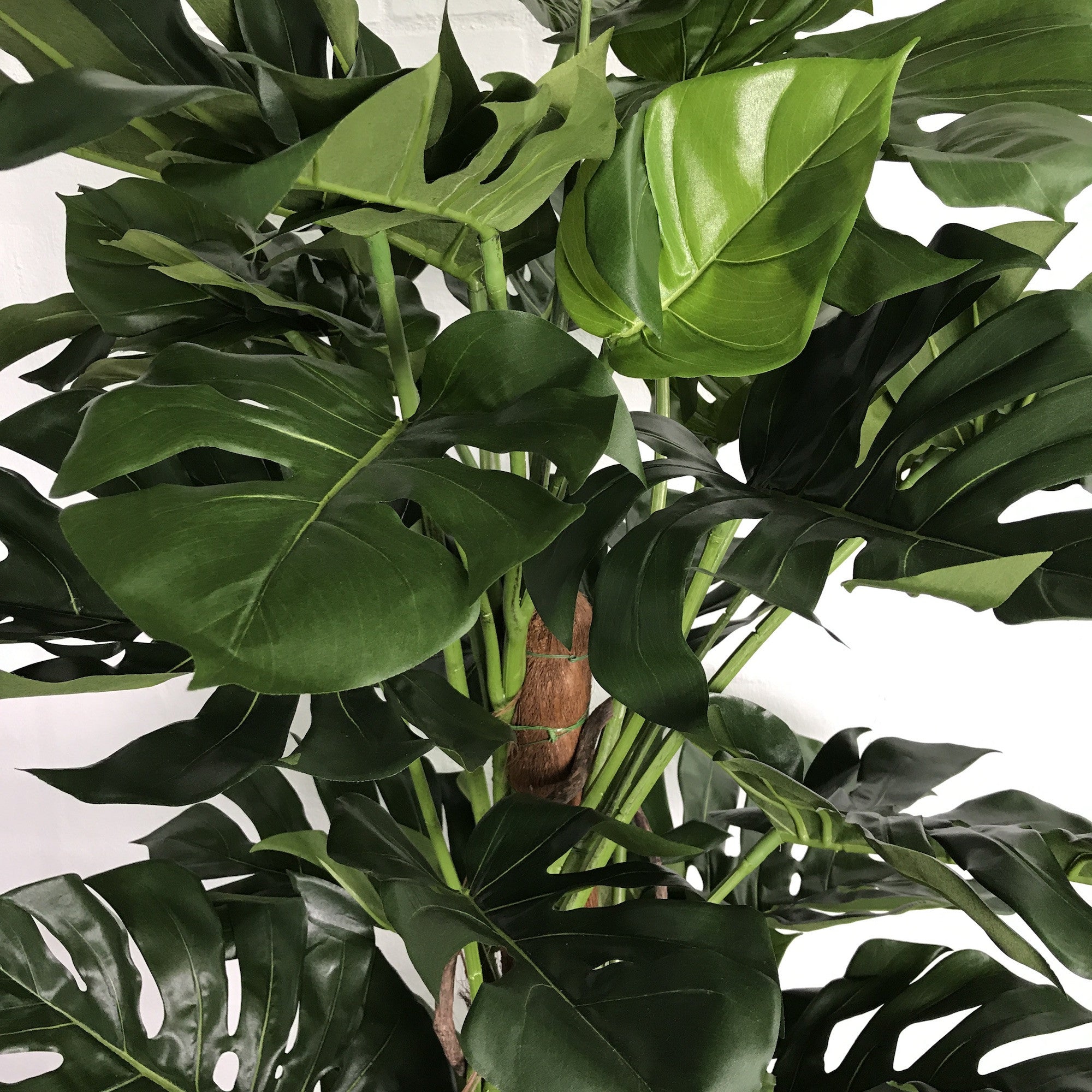 Artificial Split Philo Tree