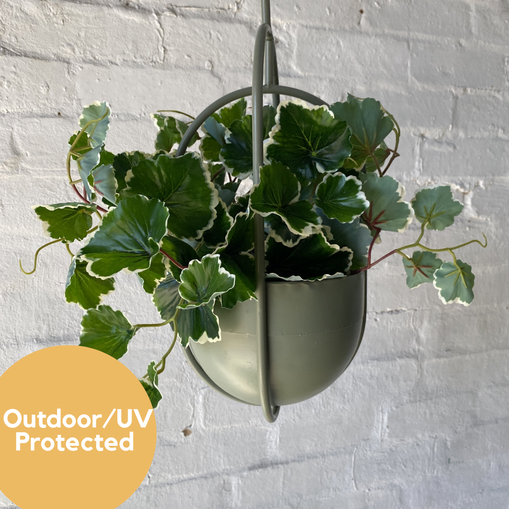 Artificial Hanging Variegated Geranium | Outdoor – The Plants Project