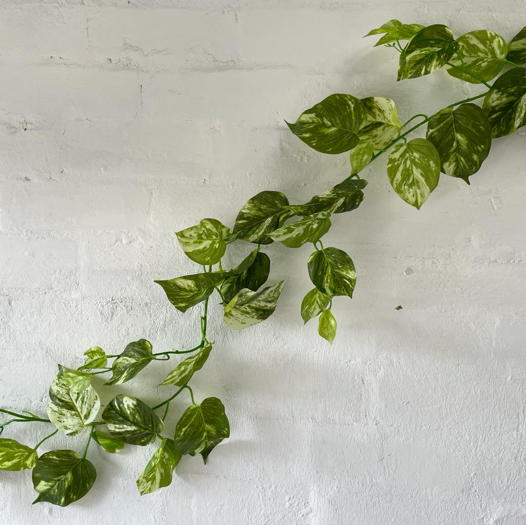 Artificial Vines | Shop Fake Vines for Sale Online